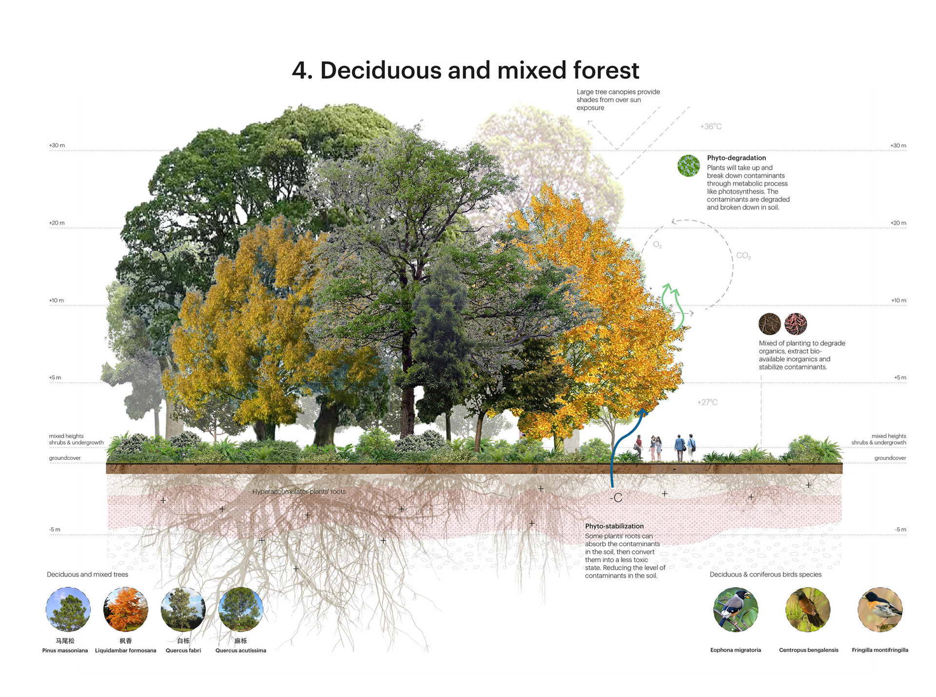 Landscape design diagrams by OpenFabric Landscape design diagrams by ...